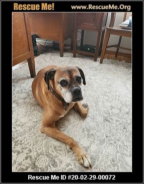 - Wisconsin Dog Rescue - ADOPTIONS - Rescue Me!