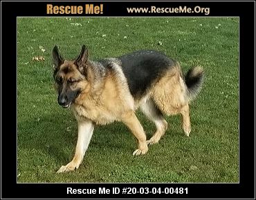 - Oregon Dog Rescue - ADOPTIONS - Rescue Me!
