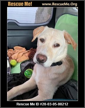 - Oregon Dog Rescue - ADOPTIONS - Rescue Me!