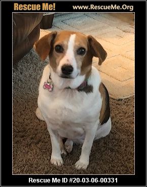 - Iowa Dog Rescue - ADOPTIONS - Rescue Me!