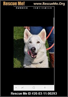 - Wisconsin Dog Rescue - ADOPTIONS - Rescue Me!