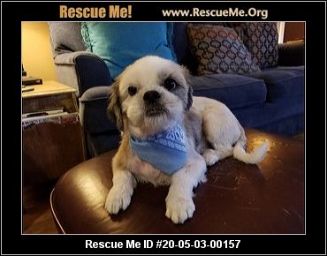 - Oregon Dog Rescue - ADOPTIONS - Rescue Me!