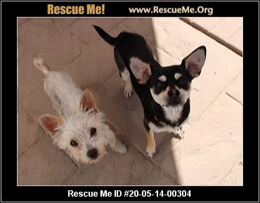 - Arizona Dog Rescue - ADOPTIONS - Rescue Me!