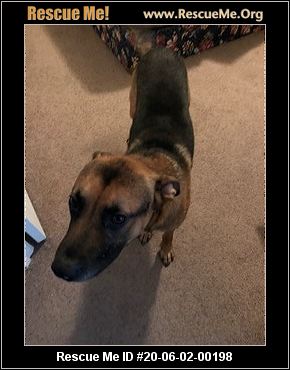 - Arkansas Dog Rescue - ADOPTIONS - Rescue Me!