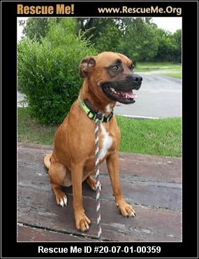 - Tennessee Boxer Rescue - ADOPTIONS - Rescue Me!