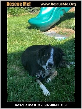 - Nebraska Dog Rescue - ADOPTIONS - Rescue Me!