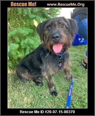 - Delaware Dog Rescue - ADOPTIONS - Rescue Me!