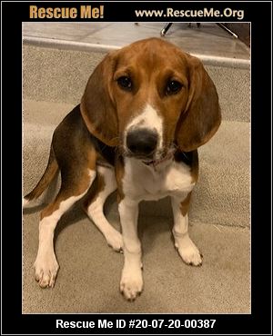 - Utah Dog Rescue - ADOPTIONS - Rescue Me!