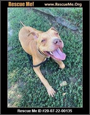 - California Pit Bull Rescue - ADOPTIONS - Rescue Me!