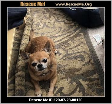 - Utah Dog Rescue - ADOPTIONS - Rescue Me!