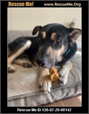 - Colorado German Shepherd Rescue - ADOPTIONS - Rescue Me!