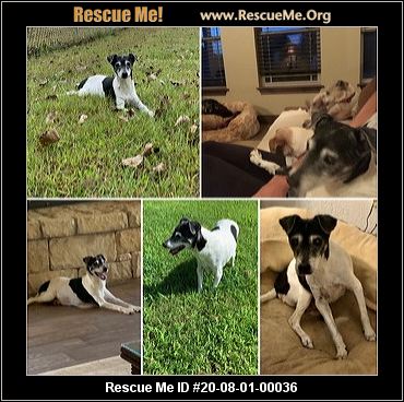 - Oklahoma Dog Rescue - ADOPTIONS - Rescue Me!