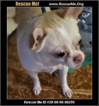 - Connecticut Pug Rescue - ADOPTIONS - Rescue Me!