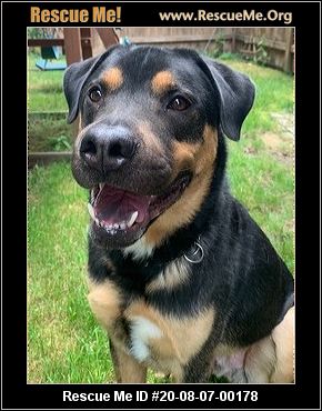 - Maryland Rottweiler Rescue - ADOPTIONS - Rescue Me!