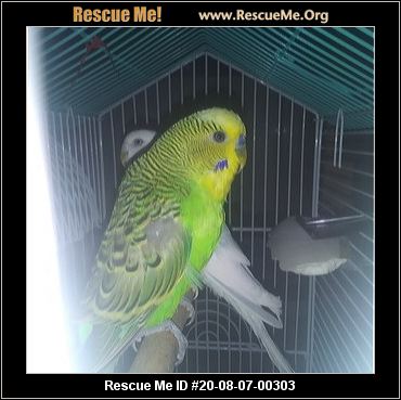 - Pennsylvania Pet Bird Rescue - ADOPTIONS - Rescue Me!