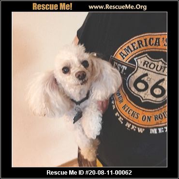 - Kansas Dog Rescue - ADOPTIONS - Rescue Me!