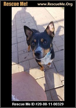 - Alabama Dog Rescue - ADOPTIONS - Rescue Me!