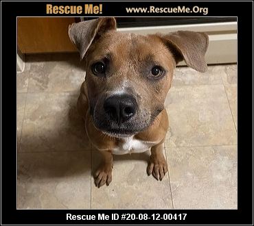 - Oregon Dog Rescue - ADOPTIONS - Rescue Me!