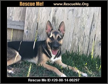- Texas German Shepherd Rescue - ADOPTIONS - Rescue Me!
