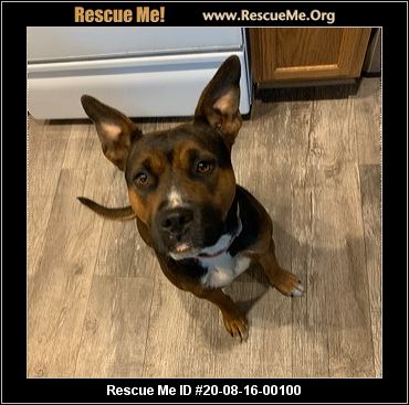 - Oregon Dog Rescue - ADOPTIONS - Rescue Me!