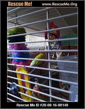 - Washington Pet Bird Rescue - ADOPTIONS - Rescue Me!