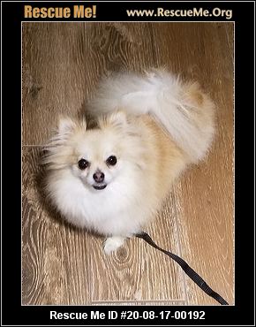 - Virginia Dog Rescue - ADOPTIONS - Rescue Me!