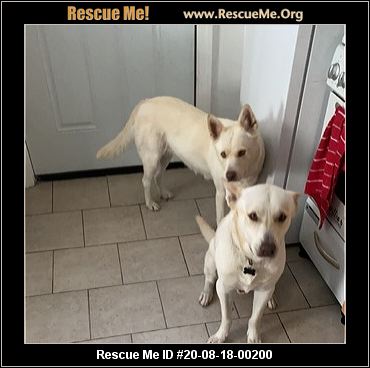 - New York Mutt Rescue - ADOPTIONS - Rescue Me!