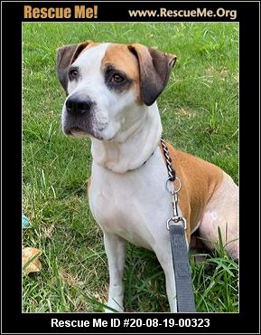 - Alabama Dog Rescue - ADOPTIONS - Rescue Me!