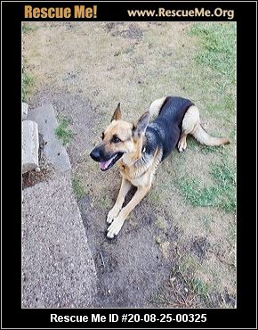 - Texas German Shepherd Rescue - ADOPTIONS - Rescue Me!