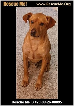 - Alabama Dog Rescue - ADOPTIONS - Rescue Me!