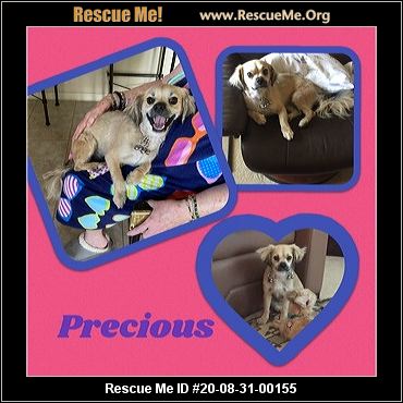 - Arizona Dog Rescue - ADOPTIONS - Rescue Me!