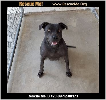 - Alabama Dog Rescue - ADOPTIONS - Rescue Me!