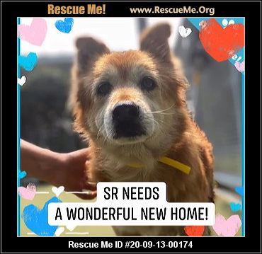 - California Dog Rescue - ADOPTIONS - Rescue Me!