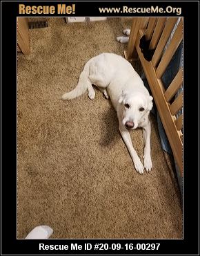 - South Dakota Dog Rescue - ADOPTIONS - Rescue Me!