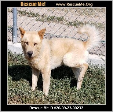 - Kansas Dog Rescue - ADOPTIONS - Rescue Me!