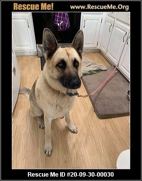 - Virginia German Shepherd Rescue - ADOPTIONS - Rescue Me!