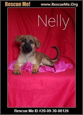 - Delaware Dog Rescue - ADOPTIONS - Rescue Me!