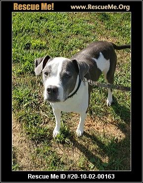 - Tennessee Mutt Rescue - ADOPTIONS - Rescue Me!
