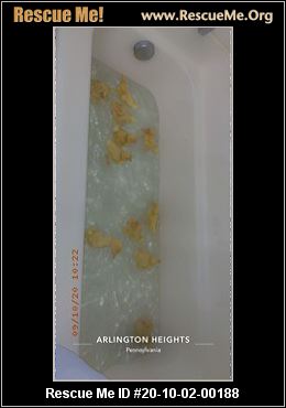 - Pennsylvania Pet Bird Rescue - ADOPTIONS - Rescue Me!