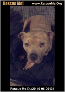 - Maryland Dog Rescue - ADOPTIONS - Rescue Me!