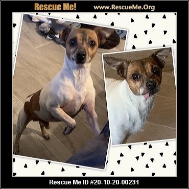 - Texas Dog Rescue - ADOPTIONS - Rescue Me!