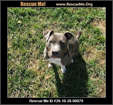- Oregon Dog Rescue - ADOPTIONS - Rescue Me!