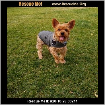 - Idaho Dog Rescue - ADOPTIONS - Rescue Me!