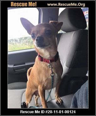 - Oregon Dog Rescue - ADOPTIONS - Rescue Me!