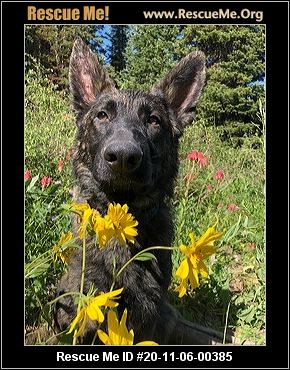 - Utah Dog Rescue - ADOPTIONS - Rescue Me!