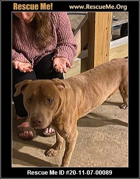 - Tennessee Dog Rescue - ADOPTIONS - Rescue Me!