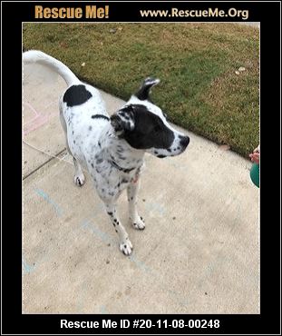 - Texas Mutt Rescue - ADOPTIONS - Rescue Me!