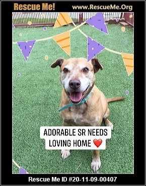 - California Lab Rescue - ADOPTIONS - Rescue Me!