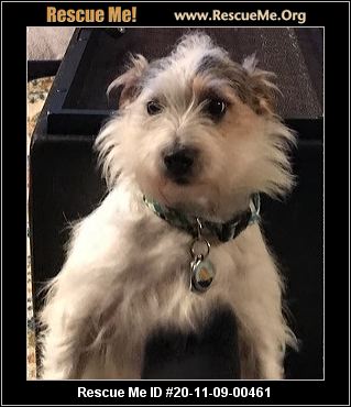 - Oregon Dog Rescue - ADOPTIONS - Rescue Me!