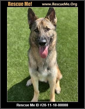 - Oklahoma Dog Rescue - ADOPTIONS - Rescue Me!